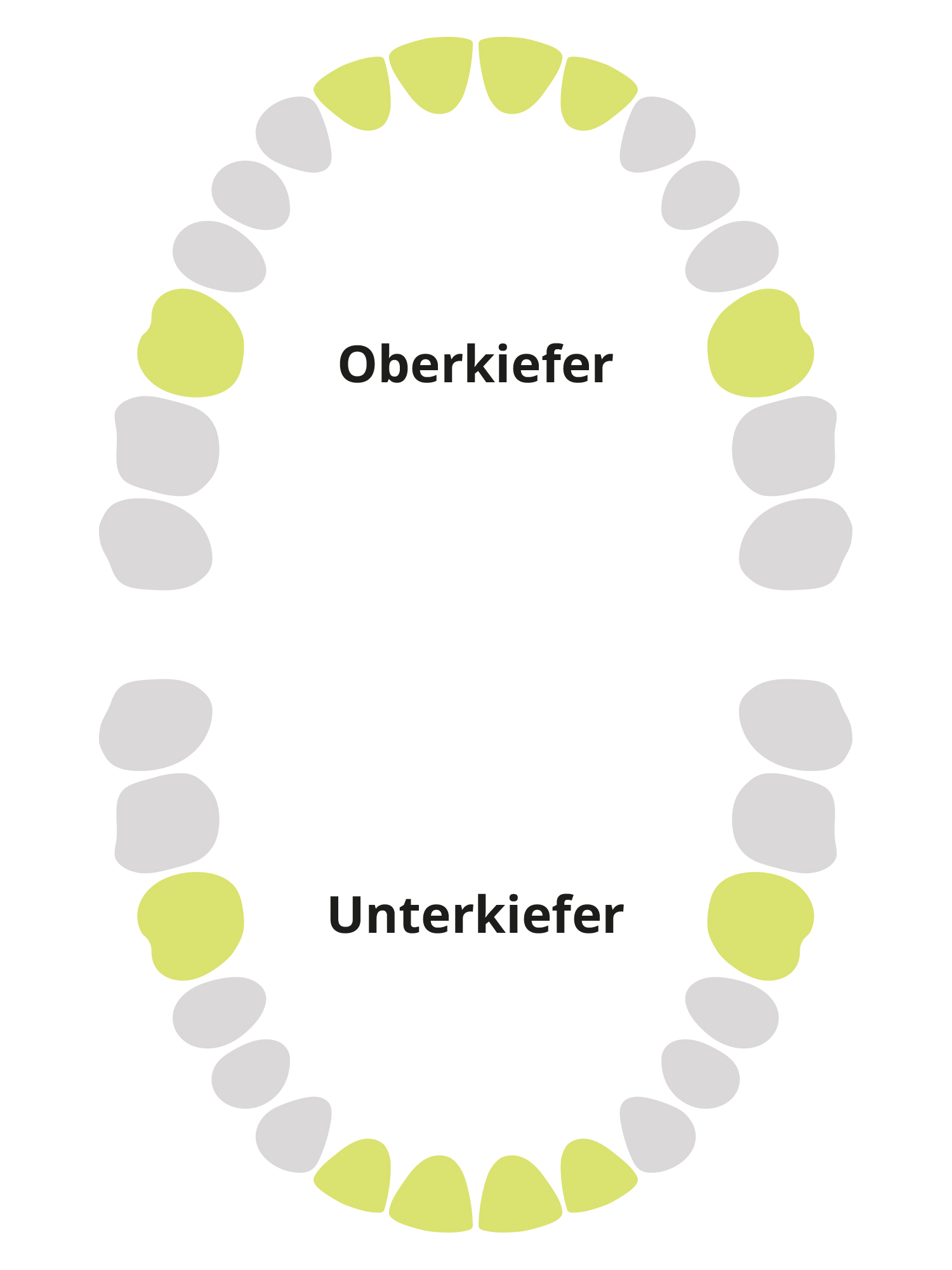 FAQs – Kids-first Kinderzahnheilkunde in Bad Aibling